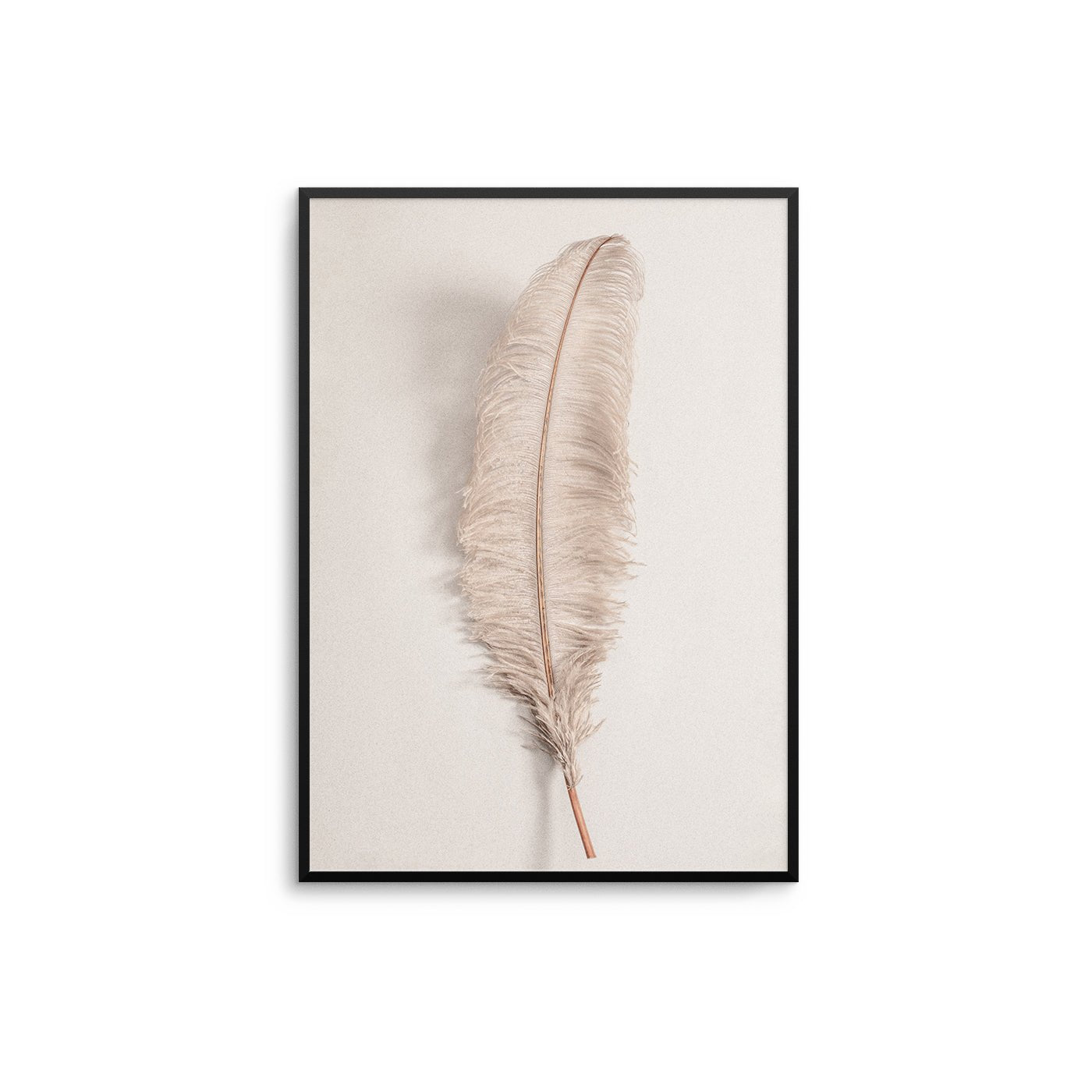 Vintage Beige Feather Poster – D'Luxe Prints