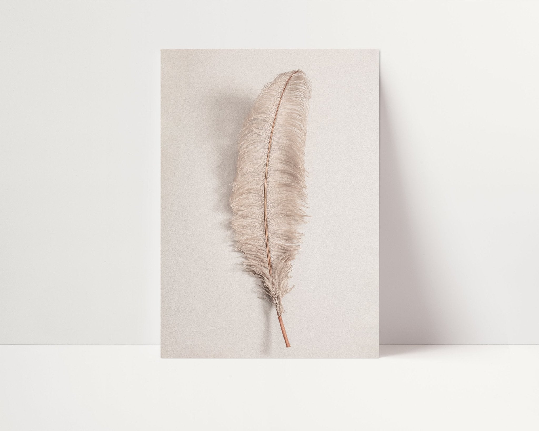 Vintage Beige Feather Poster – D'Luxe Prints